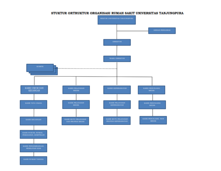 Struktur Organisasi – Rumah Sakit Universitas Tanjungpura